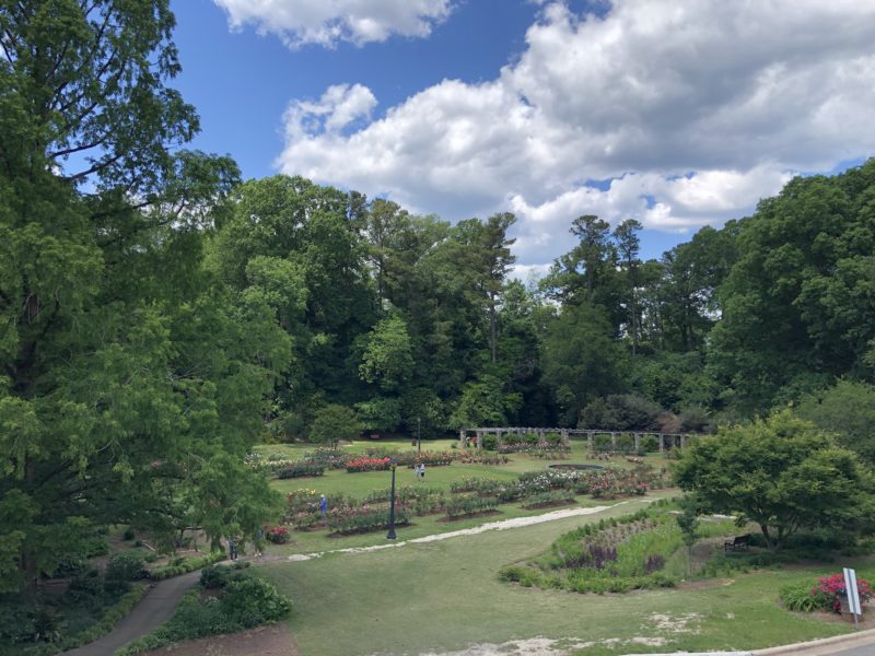 The Raleigh Rose Garden - Raleigh Little Theatre