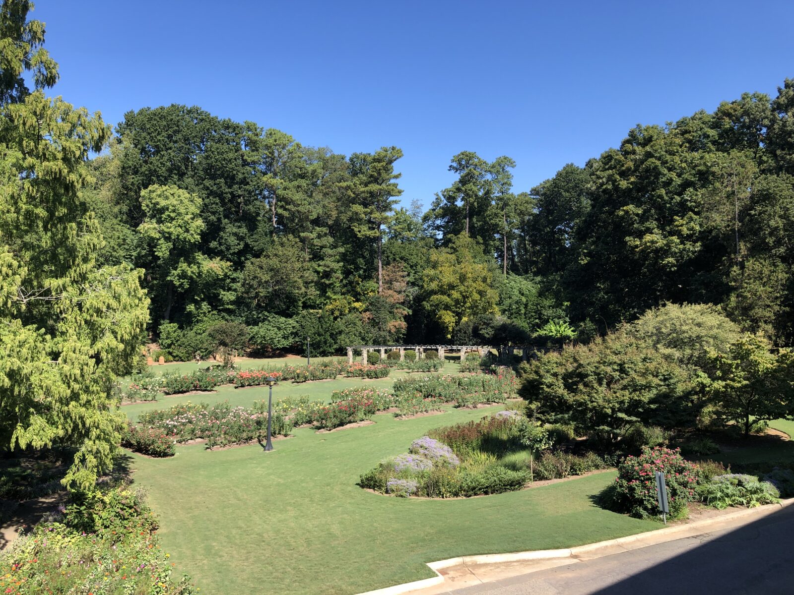 The Raleigh Rose Garden - Raleigh Little Theatre